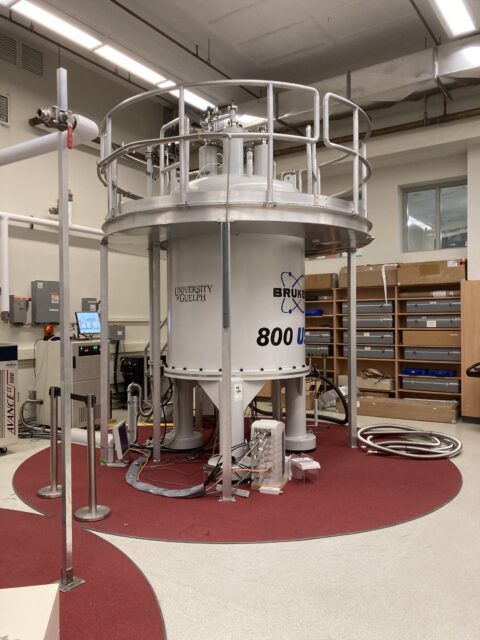 Quantum Technology: Global Leader in Helium and Hydrogen Gas Solutions